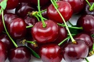 Cocktail Cherries – Summit Sips