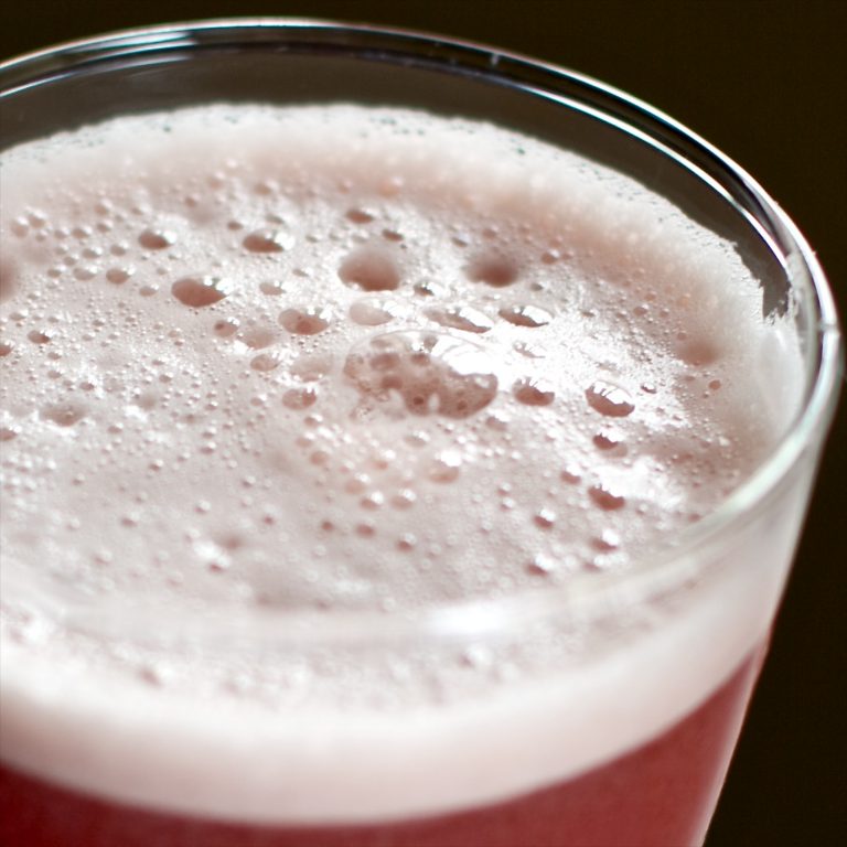 Sloe Gin Fizz – Summit Sips