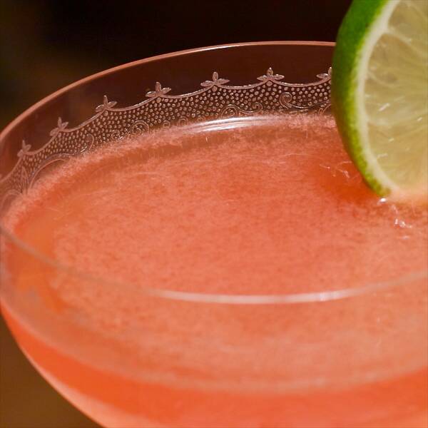 Sloe Gin Fizz – Summit Sips