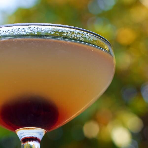 Cin Cyn – Summit Sips