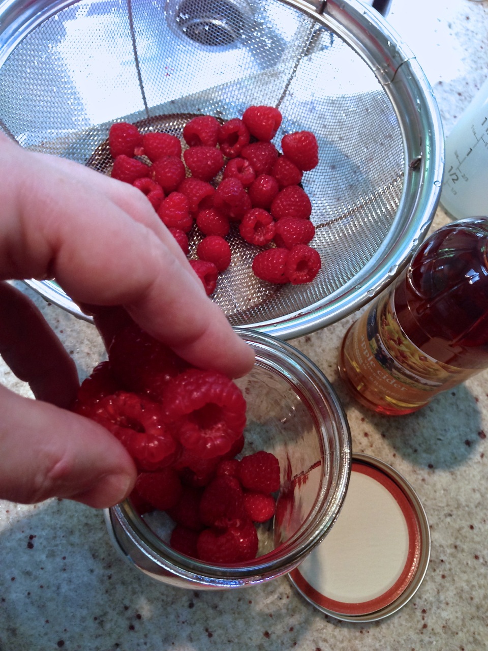 Raspberry Shrub – Summit Sips