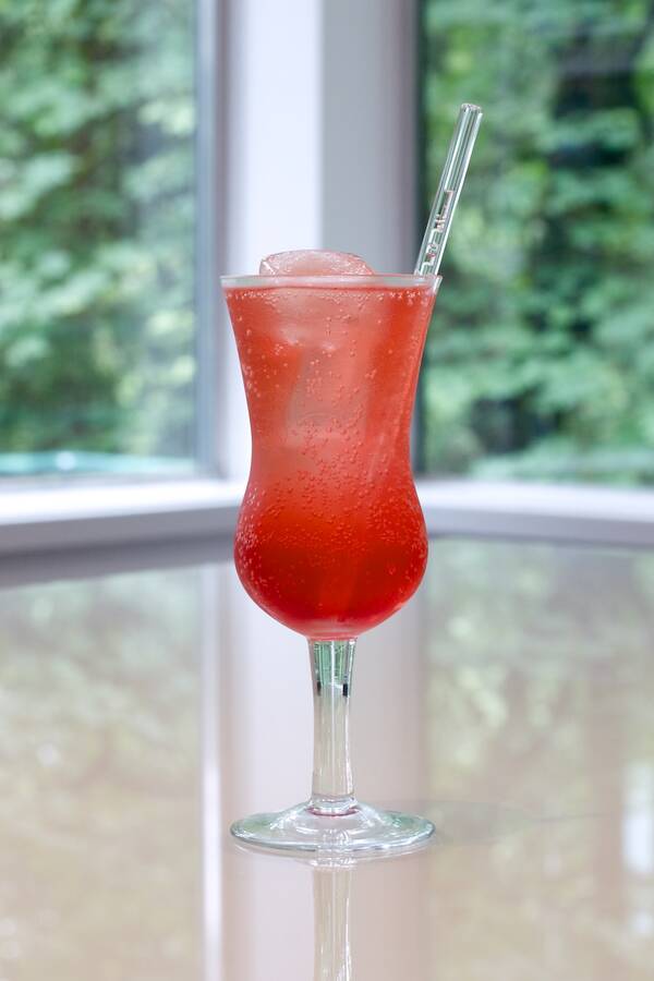 Sloe Gin Fizz – Summit Sips