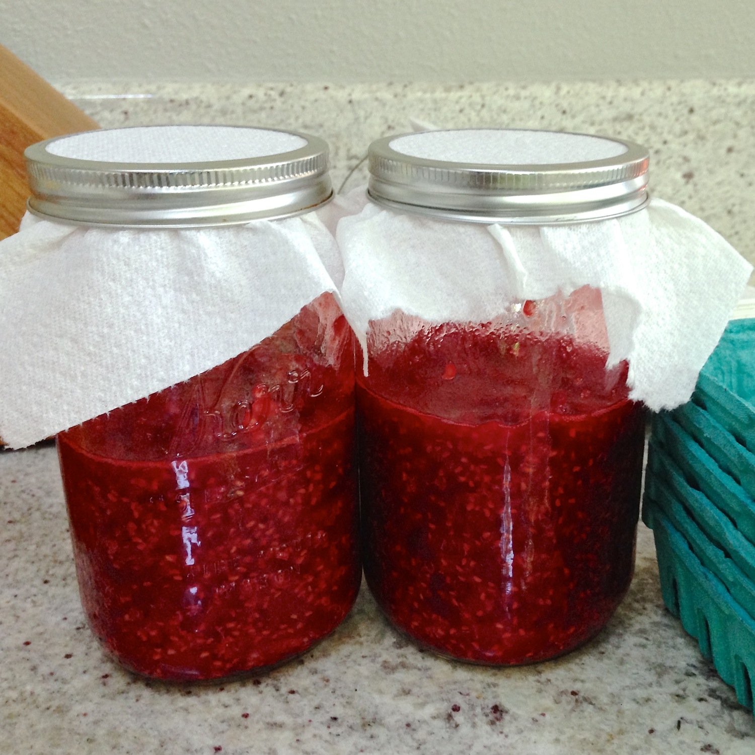 Raspberry Cocktails – Summit Sips