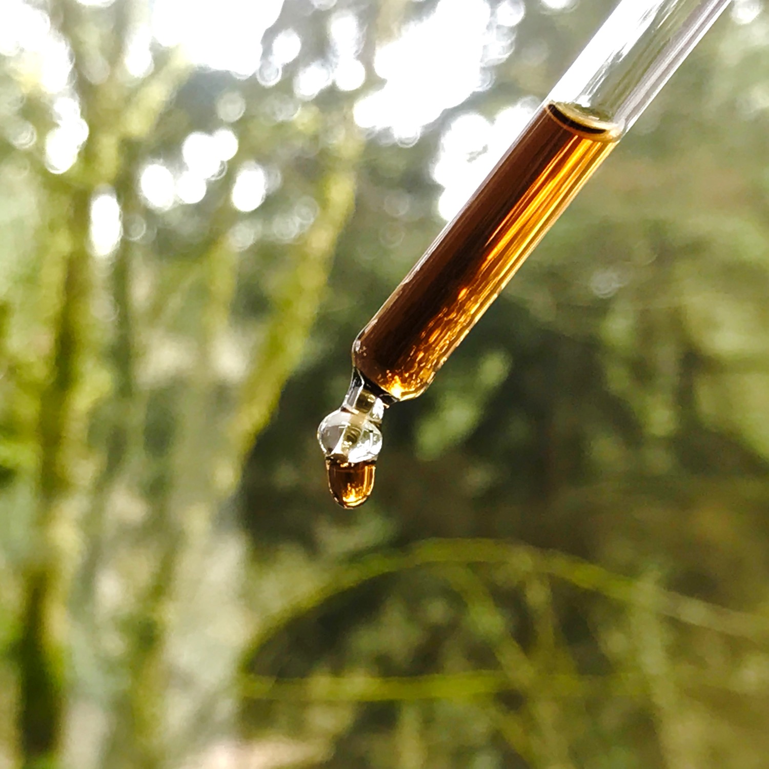 Organize Your Bitters – Summit Sips