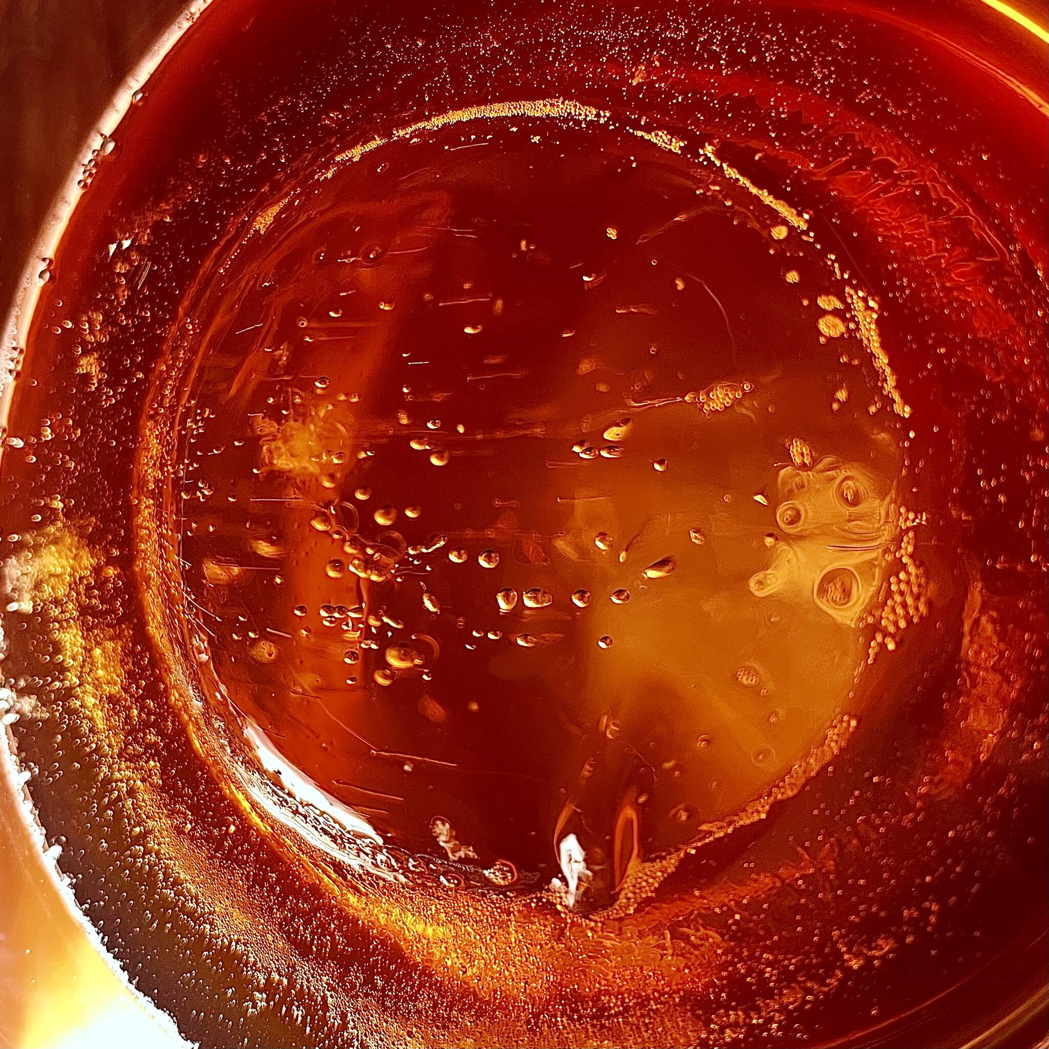 Fangs Out – Summit Sips